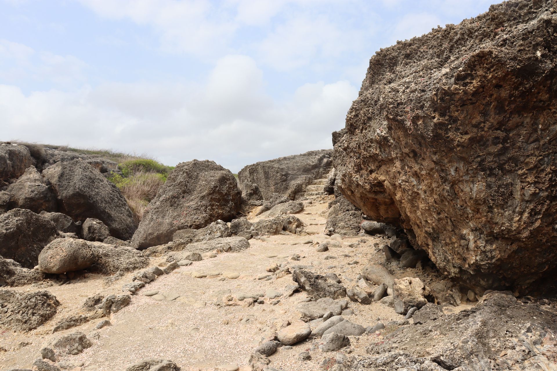 Activities & Trails | Shete Boka National Park Curacao